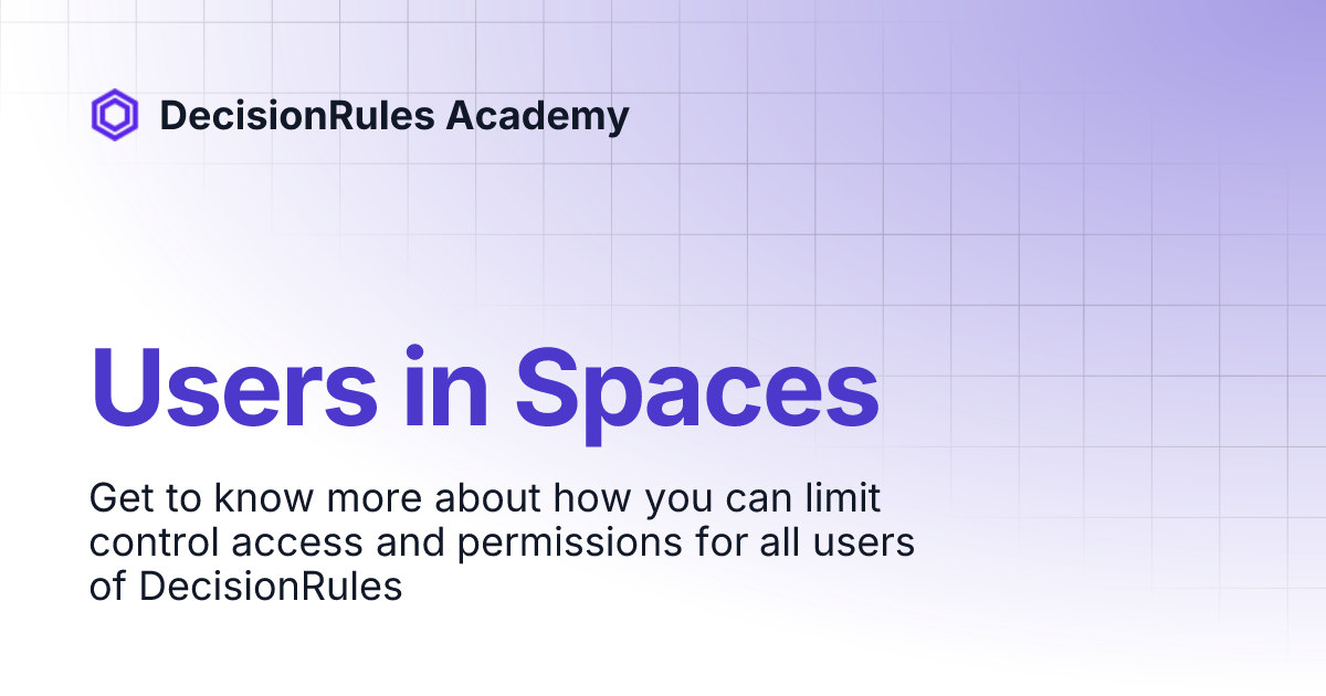 Users in Spaces | DecisionRules Academy